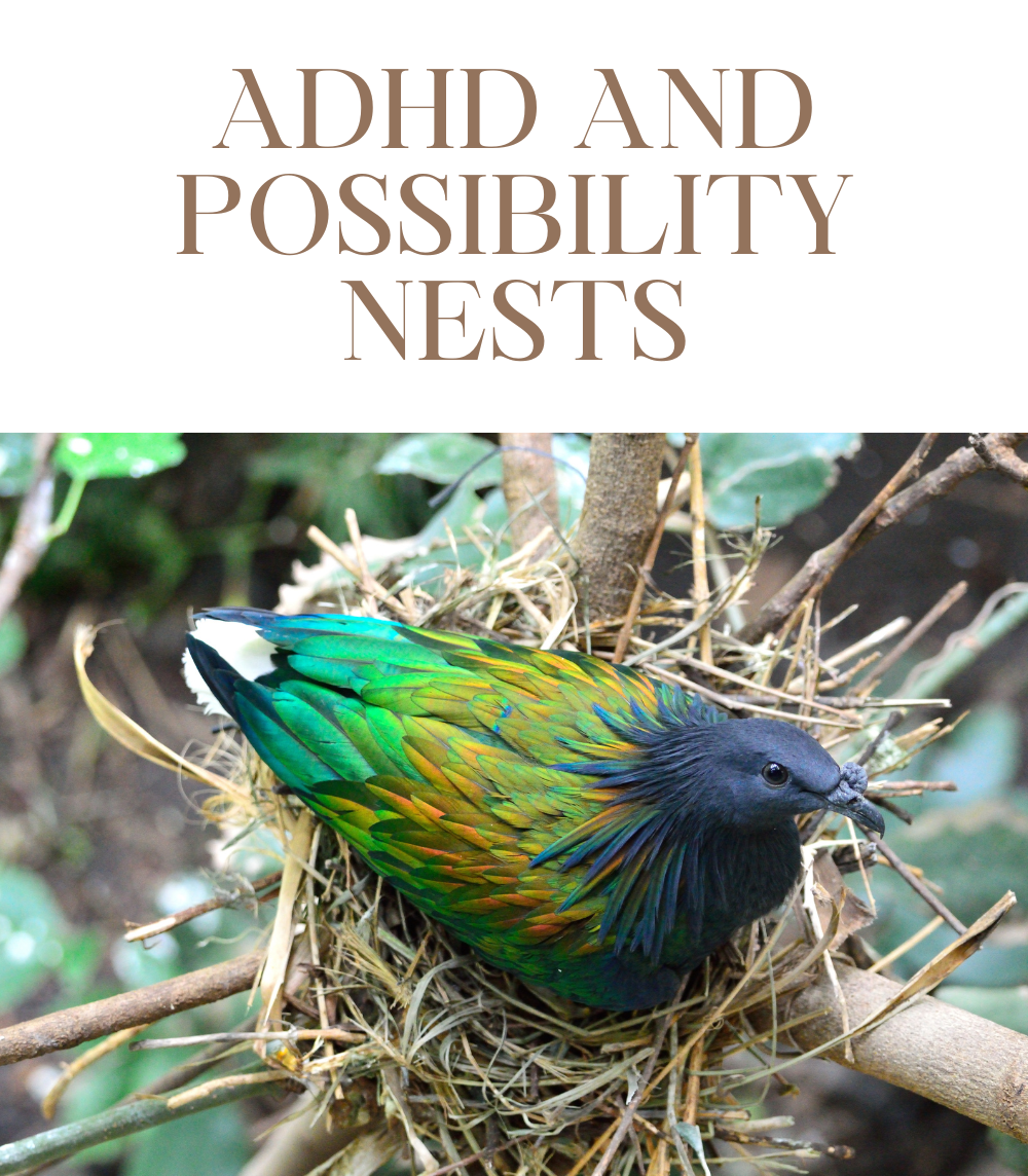 ADHD and Possibility Nests – Lemon ADHD